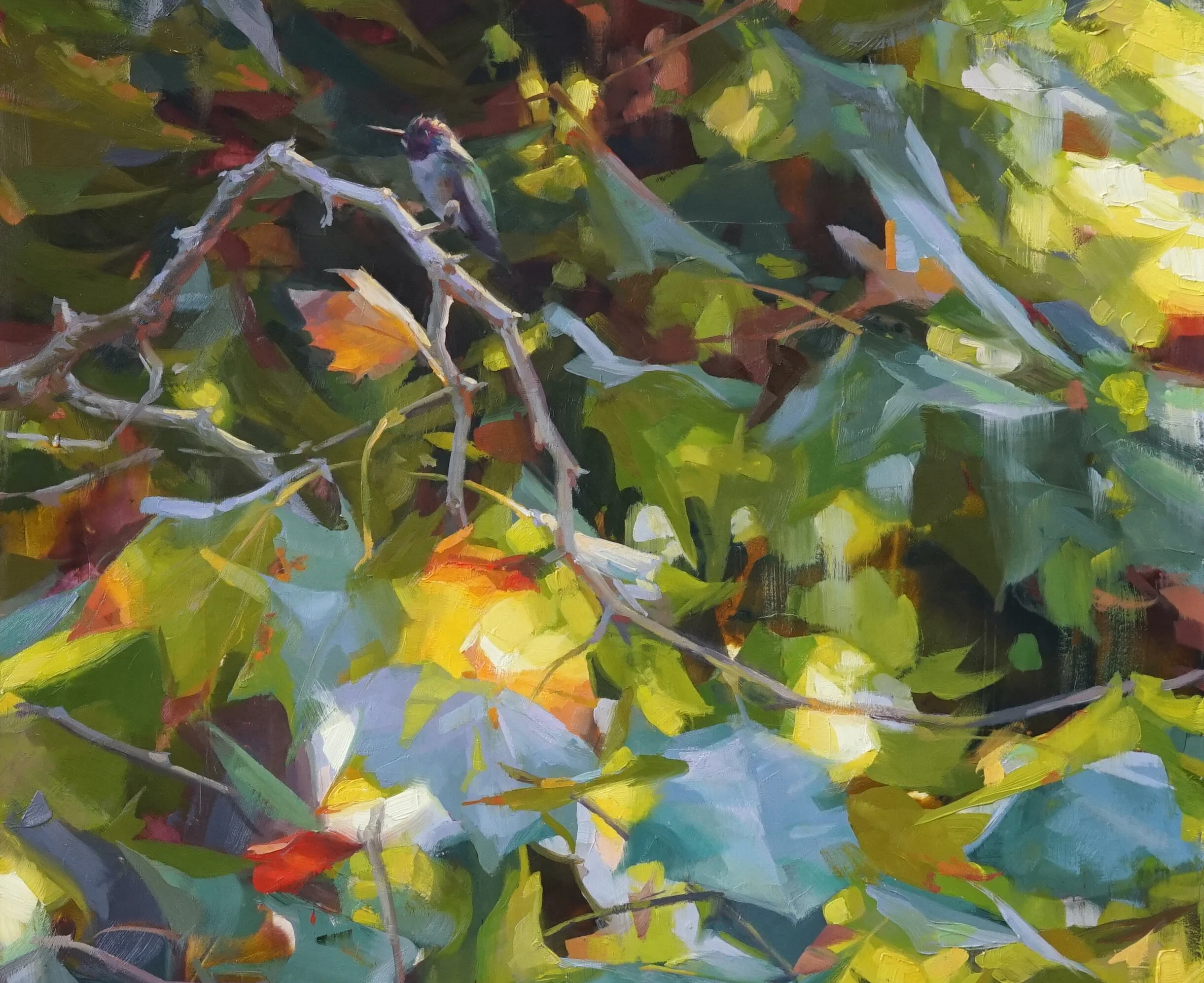 Robin Cole | Fine Artist | Drawing & Painting Instructor | Denver, CO