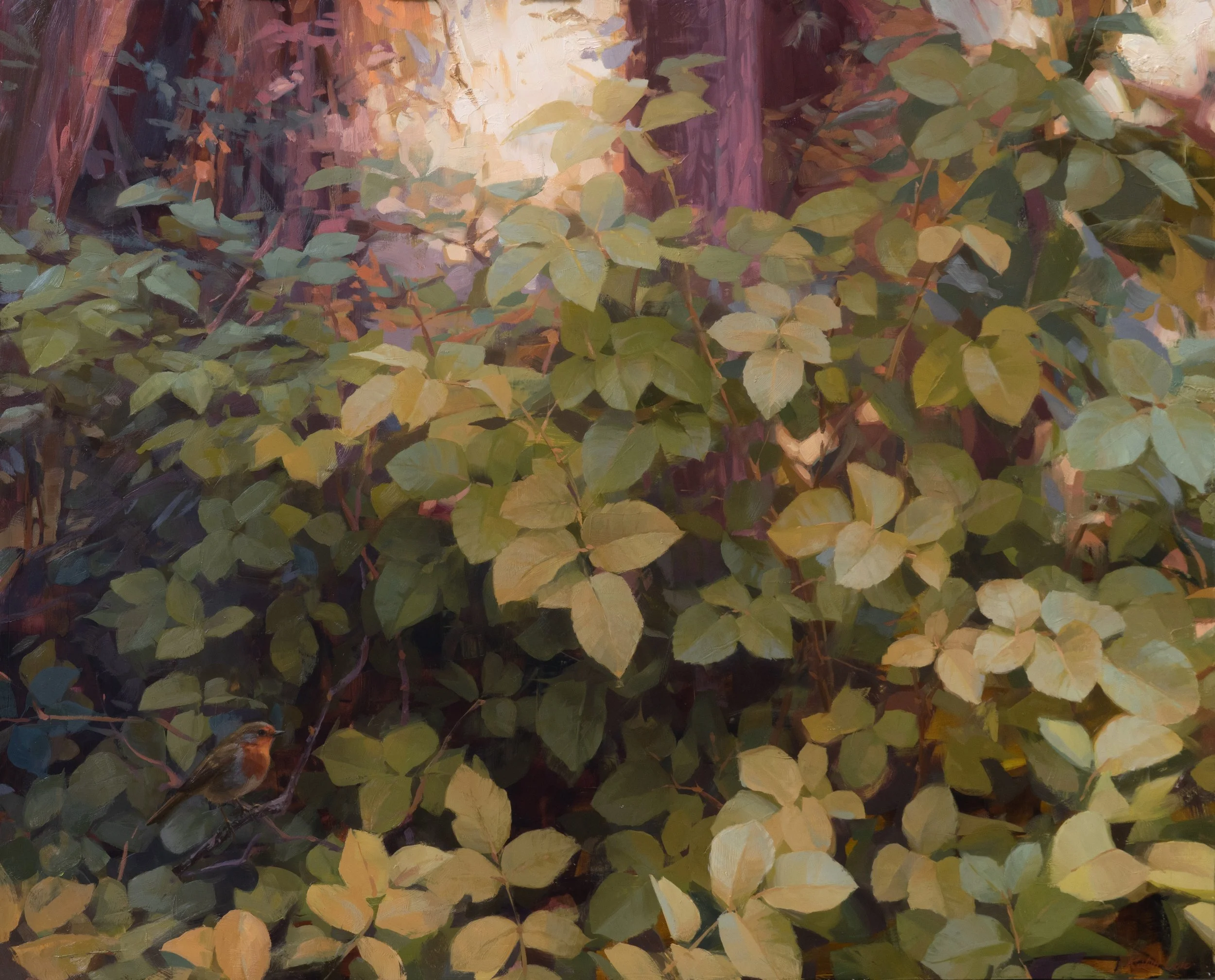 Robin Cole | Fine Artist | Drawing & Painting Instructor | Denver, CO