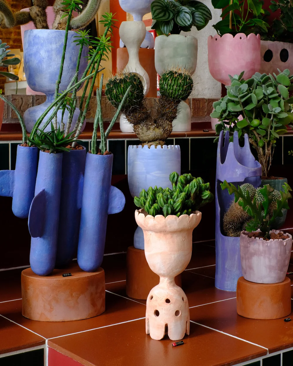 Obscure Plant Club — Yuko Nishikawa