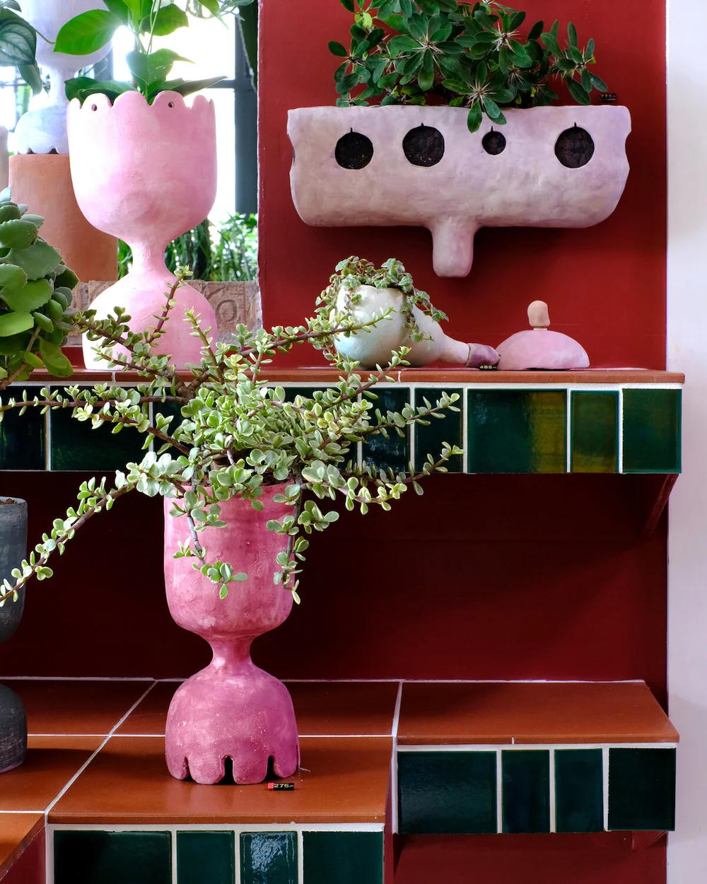 Obscure Plant Club — Yuko Nishikawa