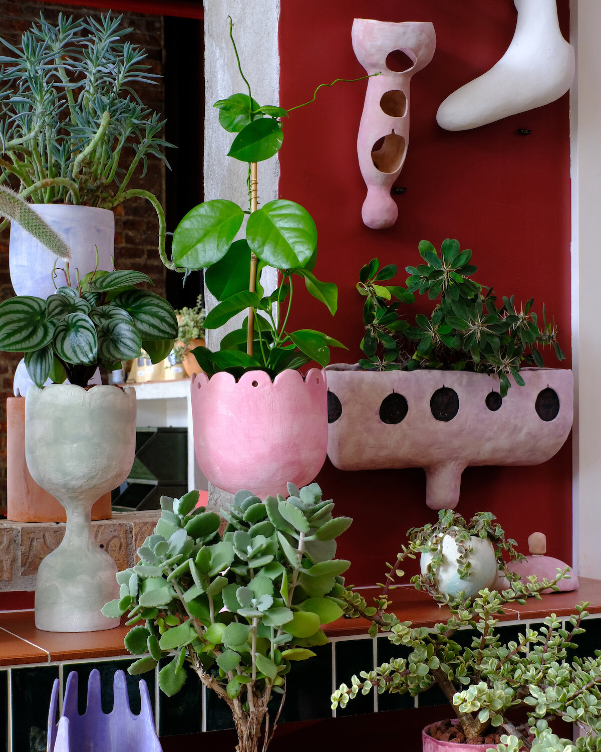 Obscure Plant Club — Yuko Nishikawa