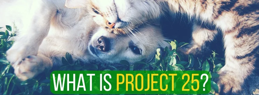 Project 25 — Dr. Ernie Ward