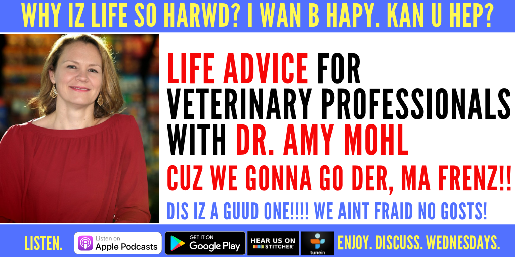 Life Advice for Veterinary Professionals with Dr. Amy Mohl — Dr. Ernie Ward