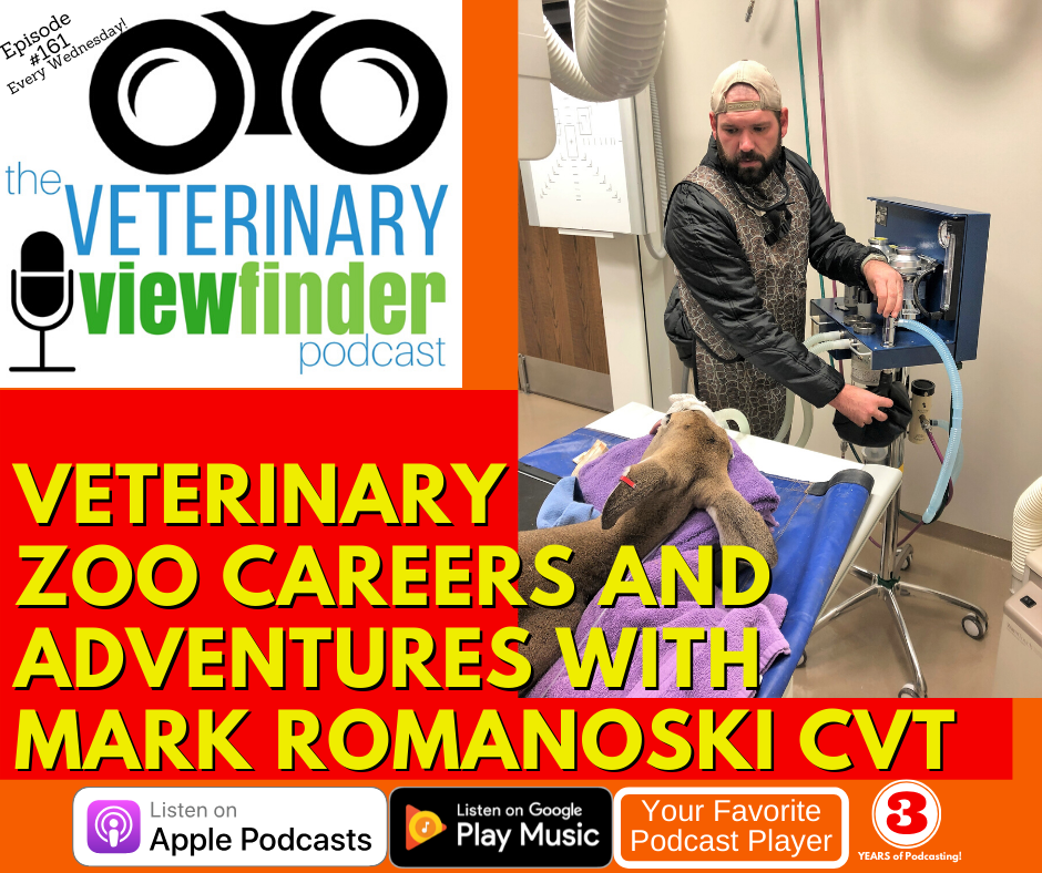 Veterinary Zoo Careers and Adventures with Mark Romanoski CVT — Dr ...