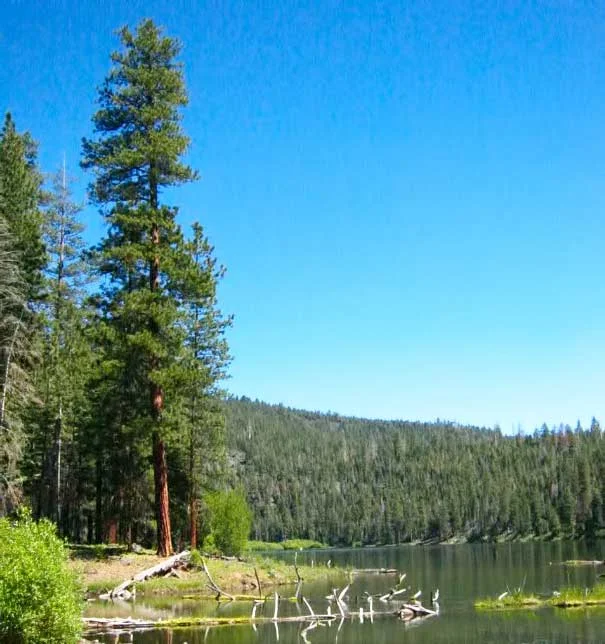 Lake & Stream Fishing Near NE California Golf & RV Park