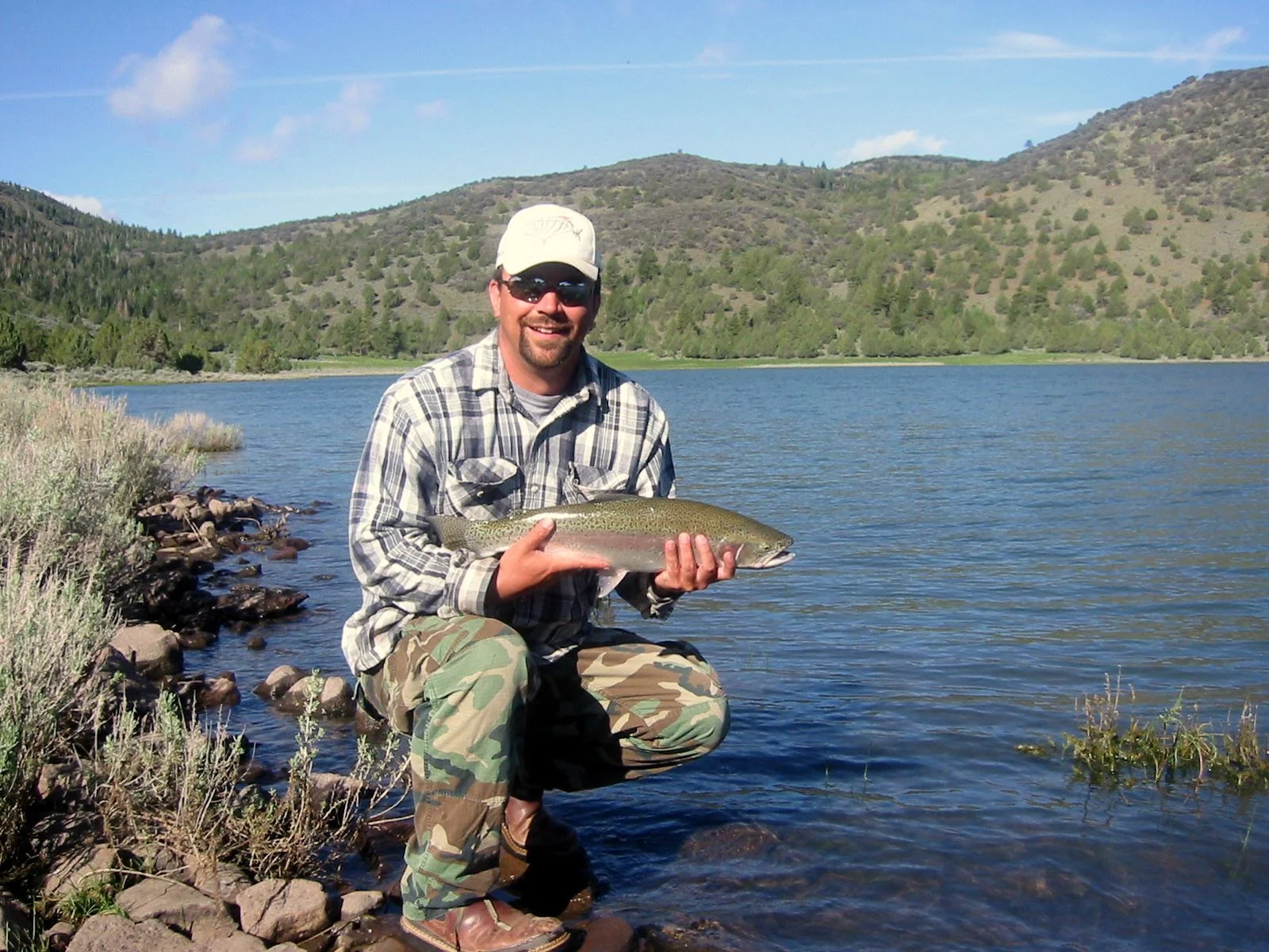 Photo Gallery of Camping, RV Parking & Wildlife Near Likely, CA