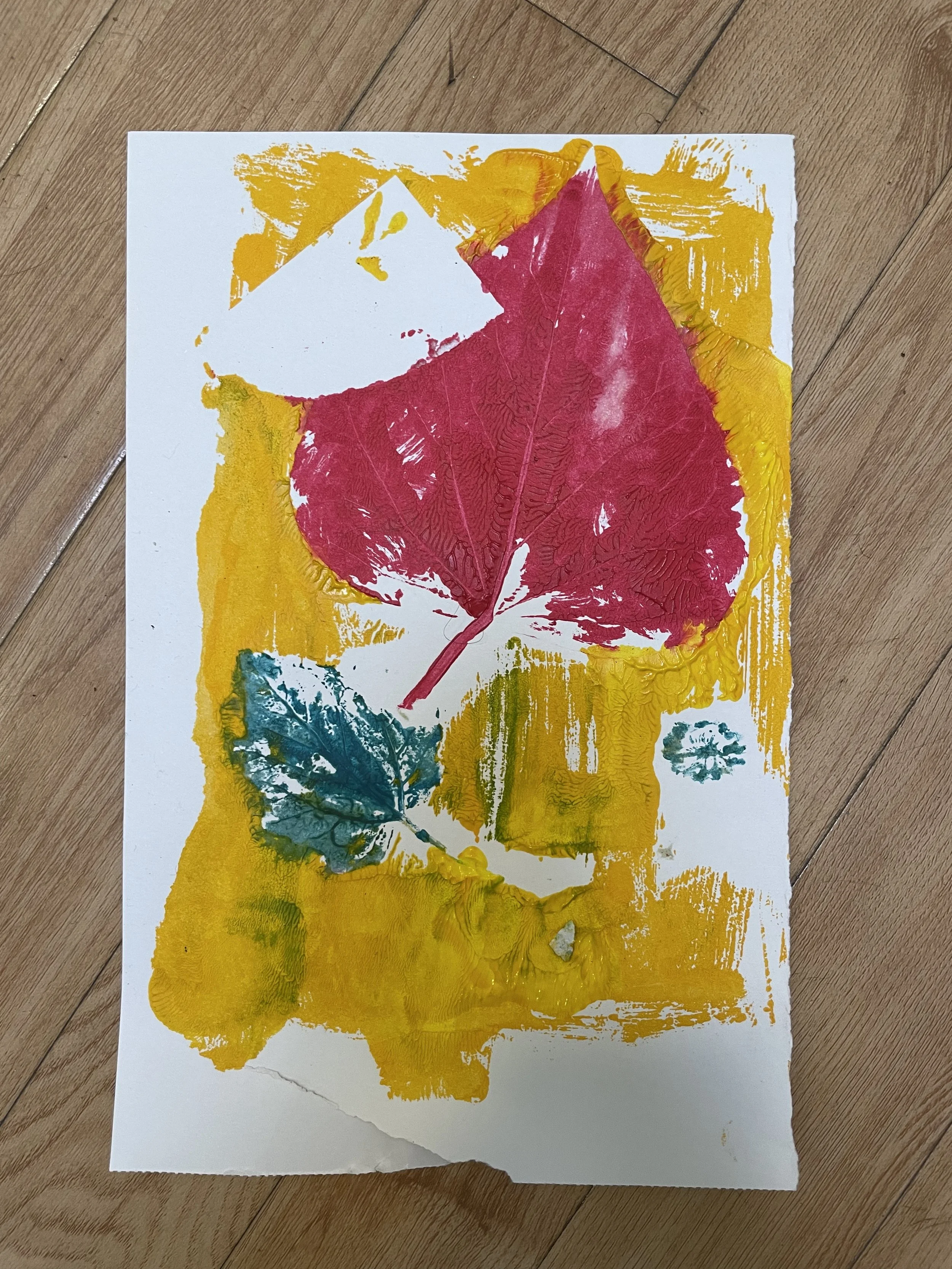 Gallery — Hospital Rooms