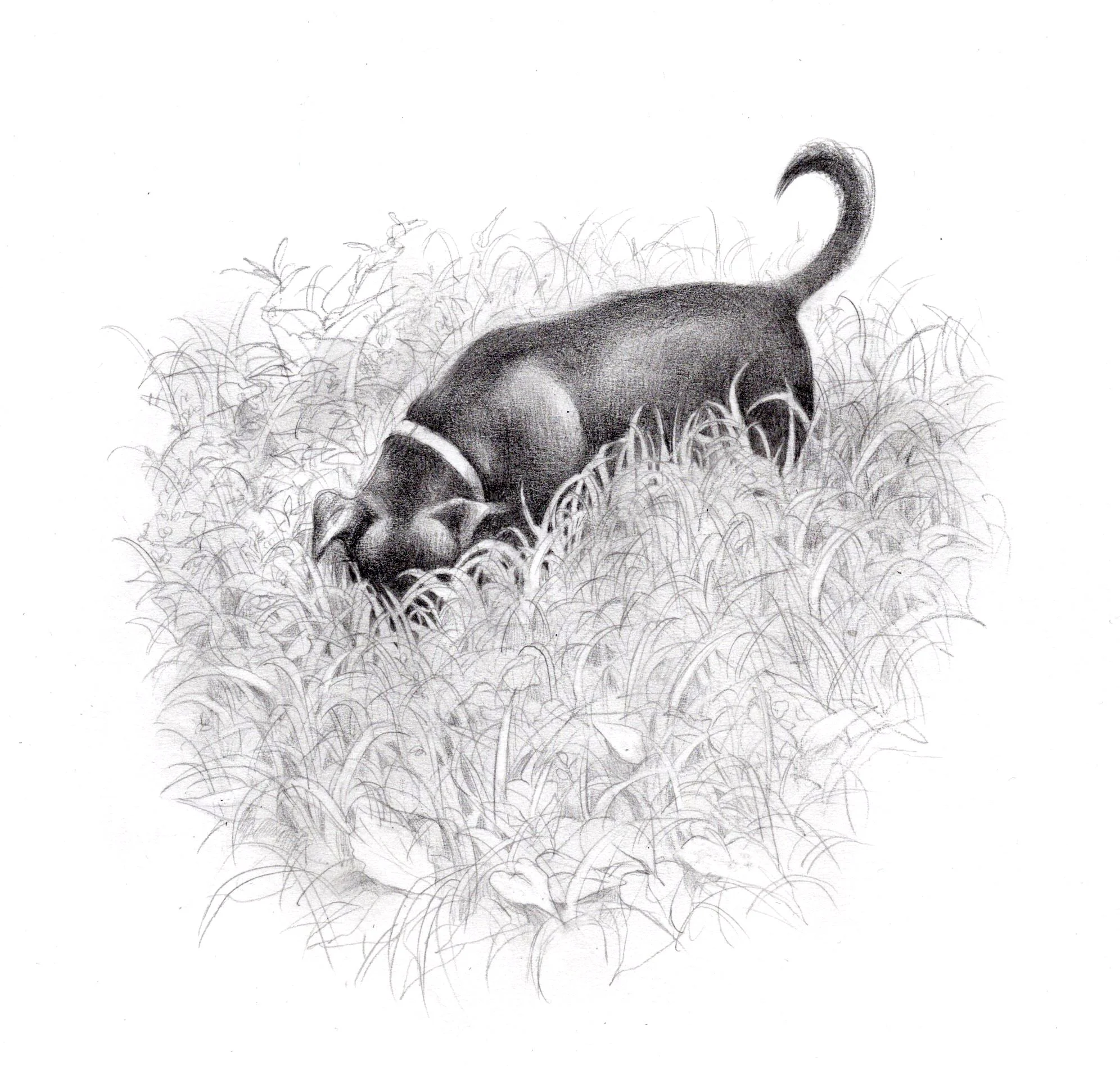 Sketchbook — Julie Kwon