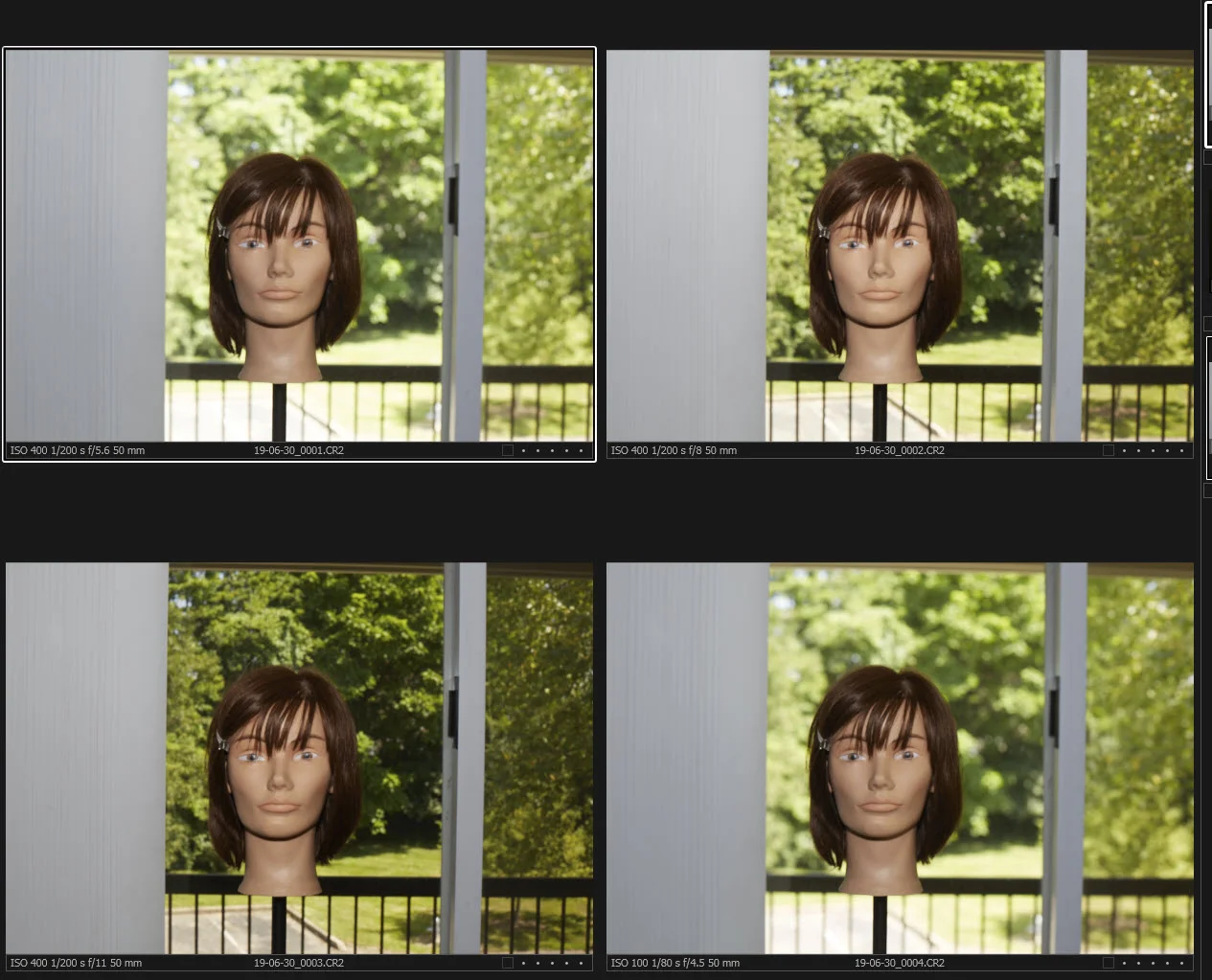 The Trick to Balancing Flash with bright backgrounds in Canon's ...