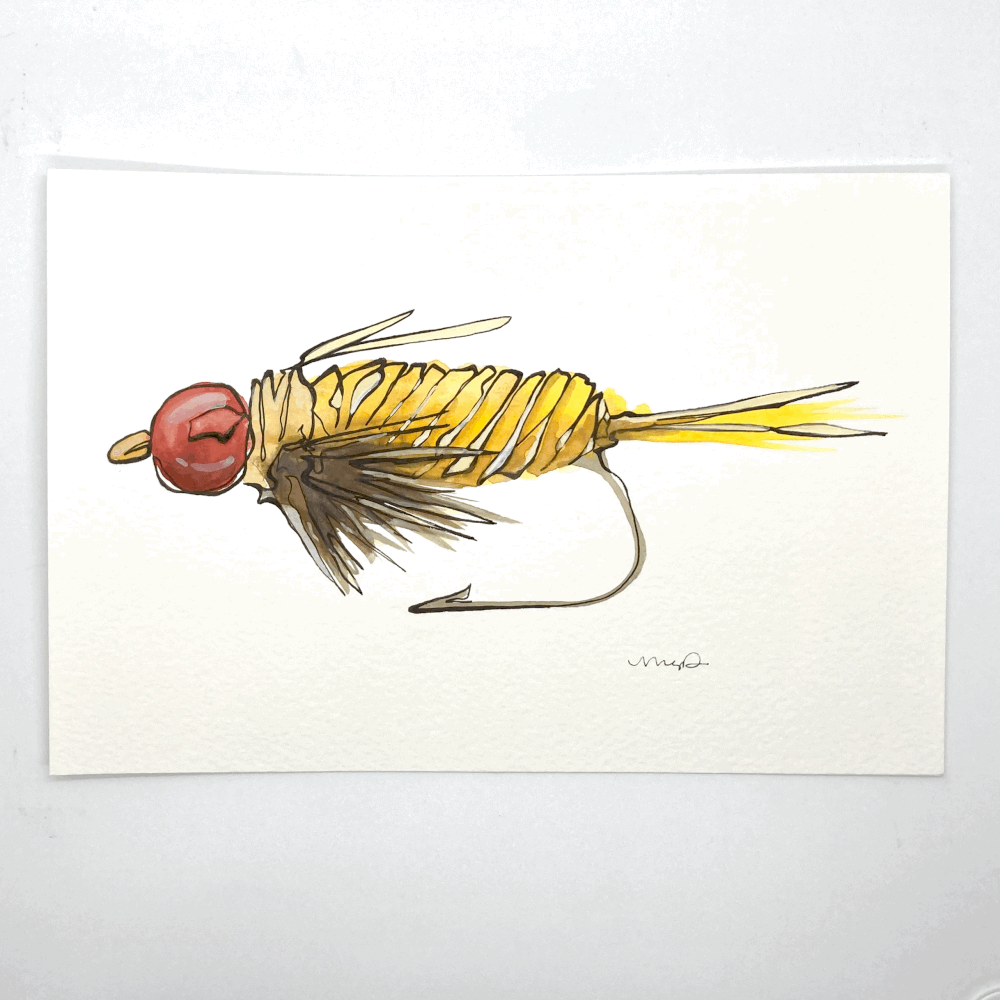 Fly Fishing Lures Drawing