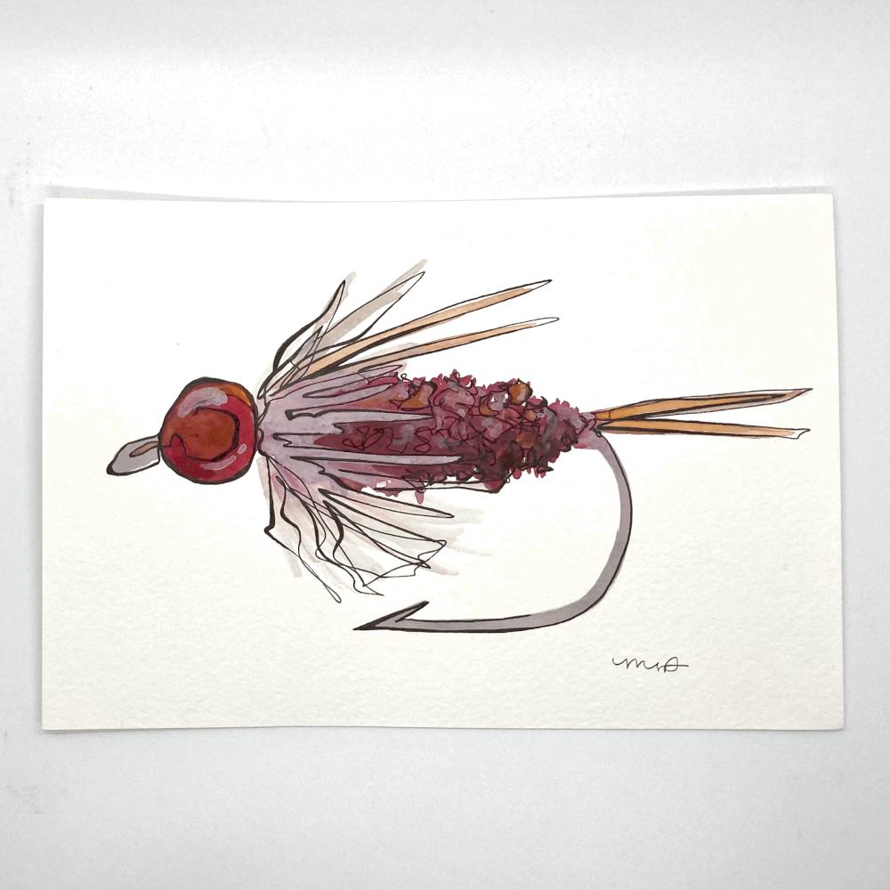 Fly Fishing Flies Drawing