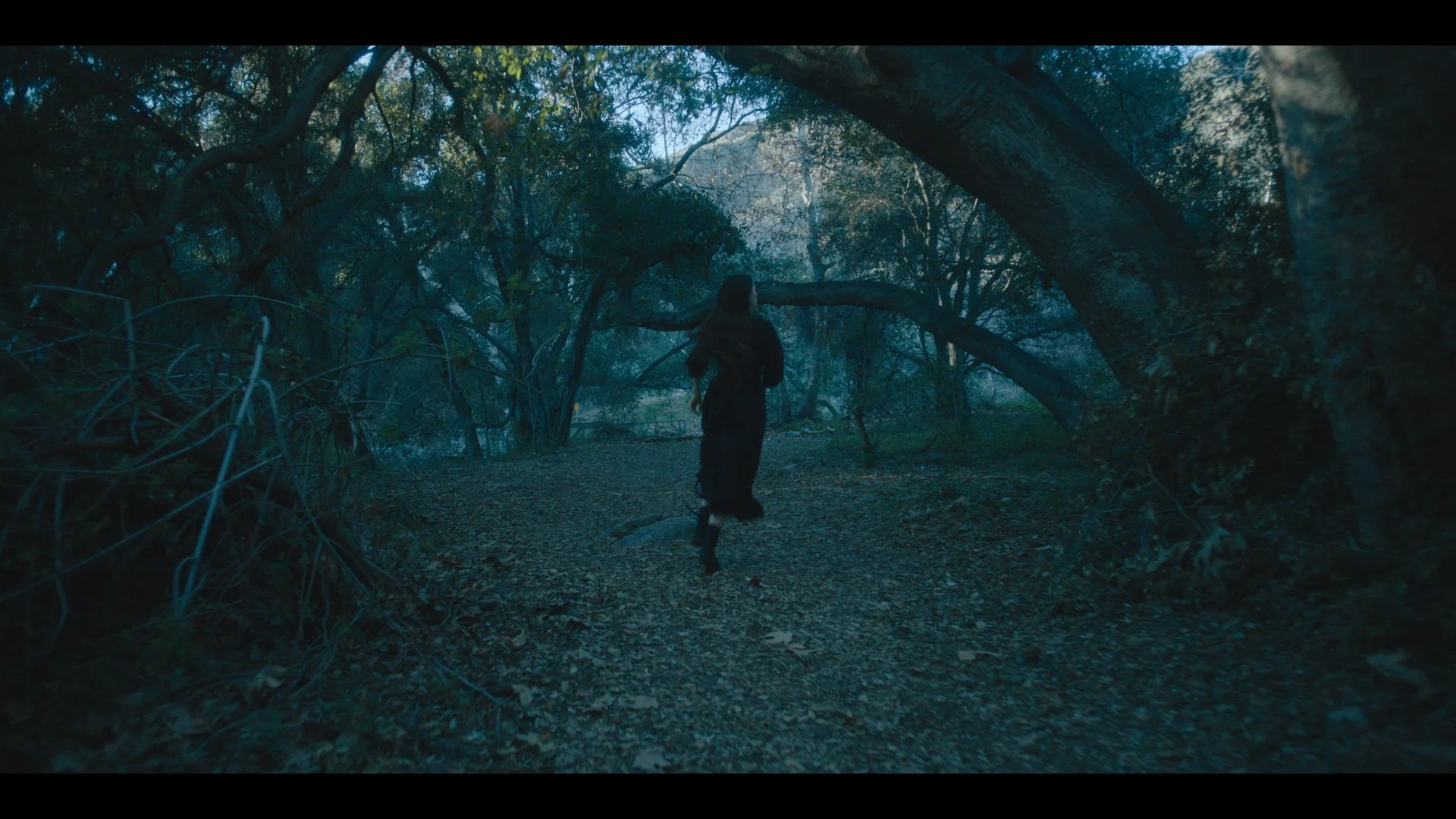 The Ringmaste — Caleb Heymann