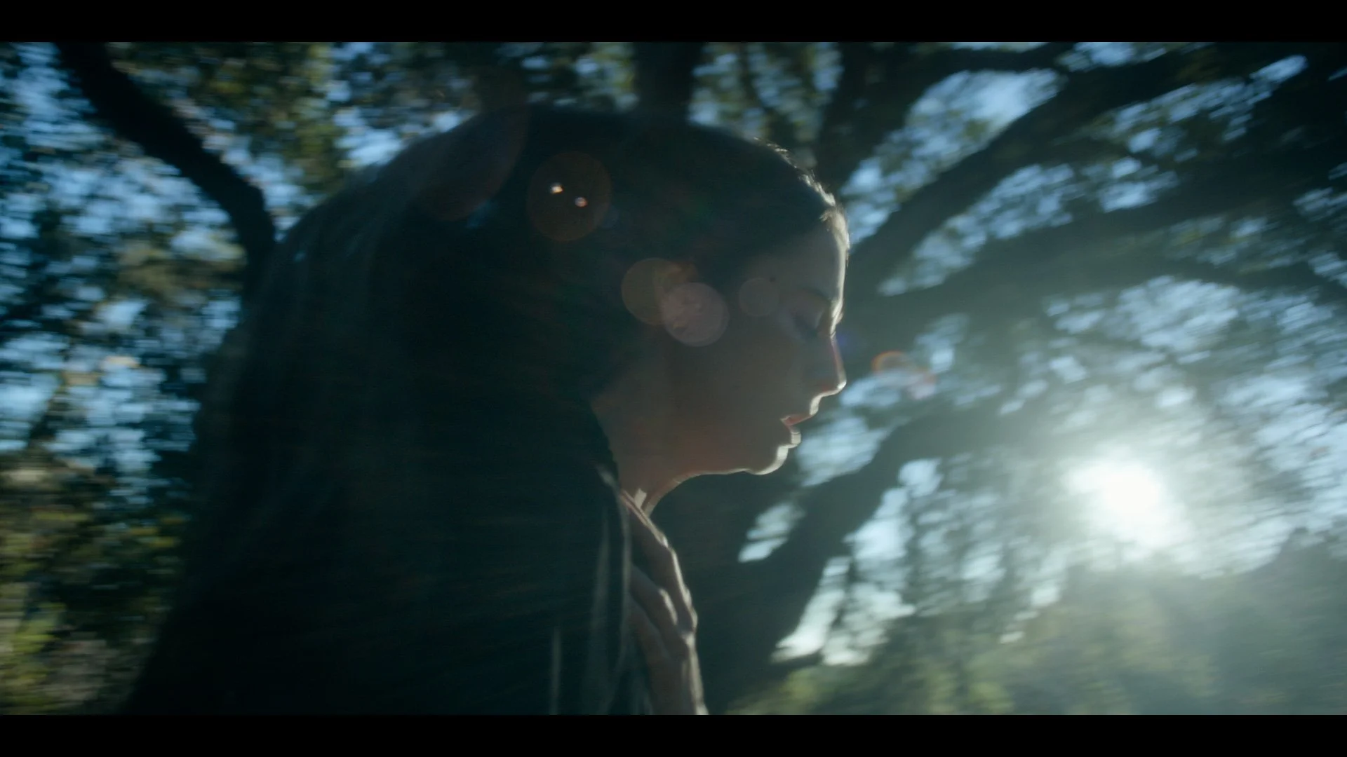 The Ringmaste — Caleb Heymann