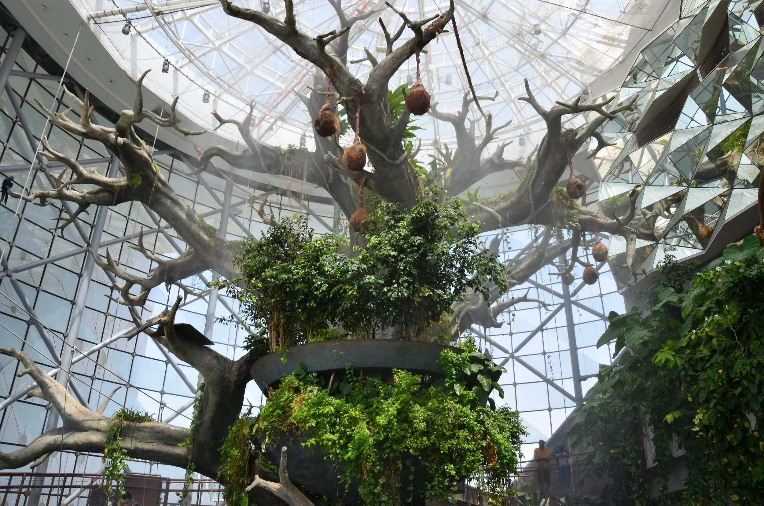 Global City Explorer