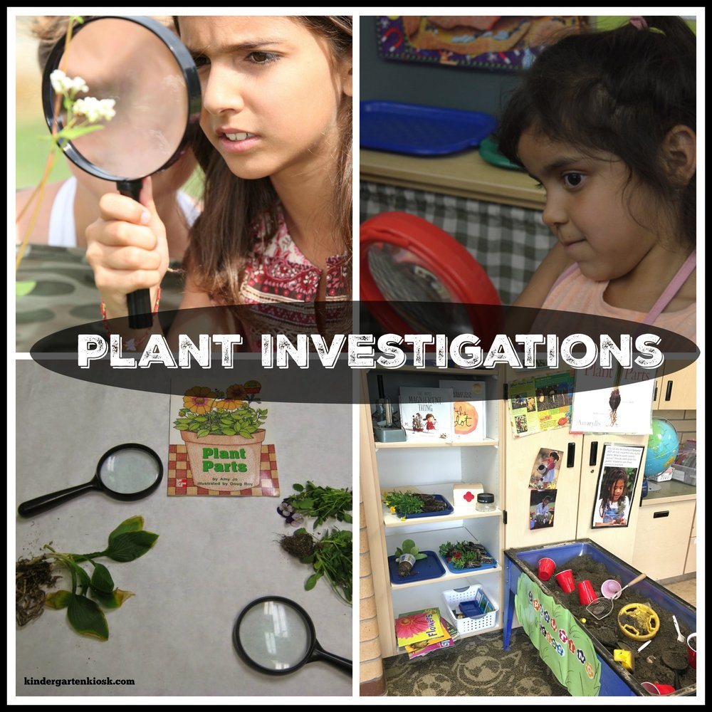 Plant Investigations Thematic Unit — Kindergarten Kiosk
