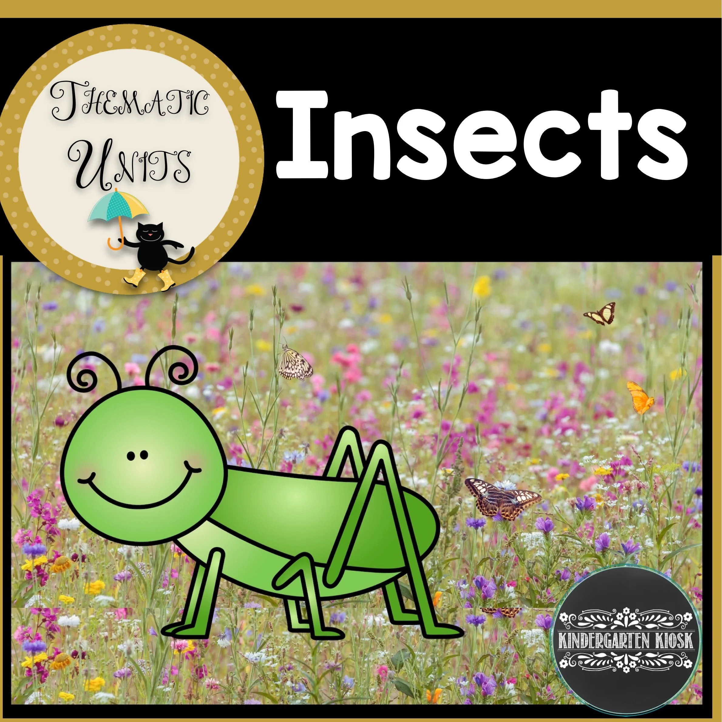 Building an Insect Zoo: Insect Thematic Unit — Kindergarten Kiosk