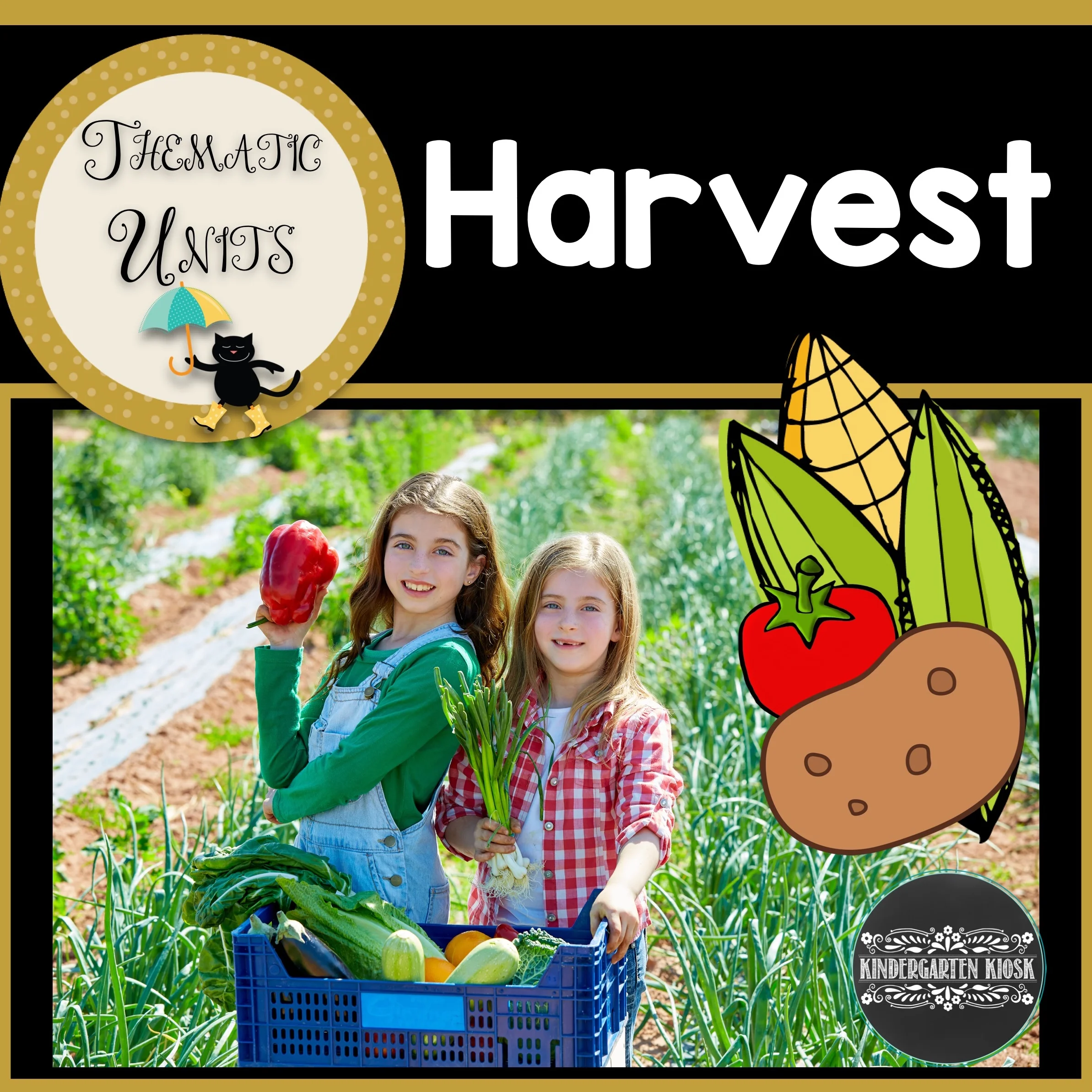 Harvest Time For Apples Pumpkins Potatoes and More — Kindergarten Kiosk
