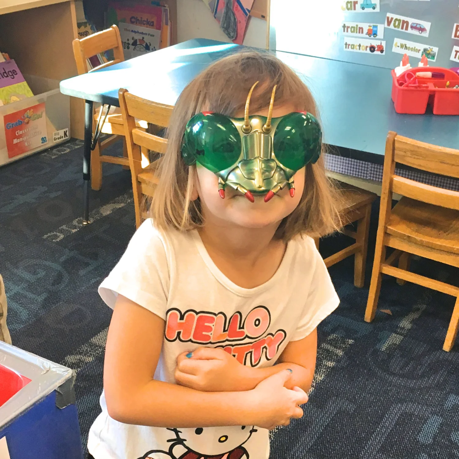 STEM Insect Lessons For Kindergarten — Kindergarten Kiosk