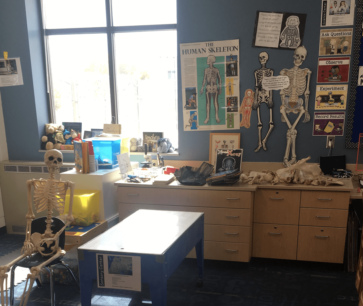 Skeleton Thematic Unit — Kindergarten Kiosk