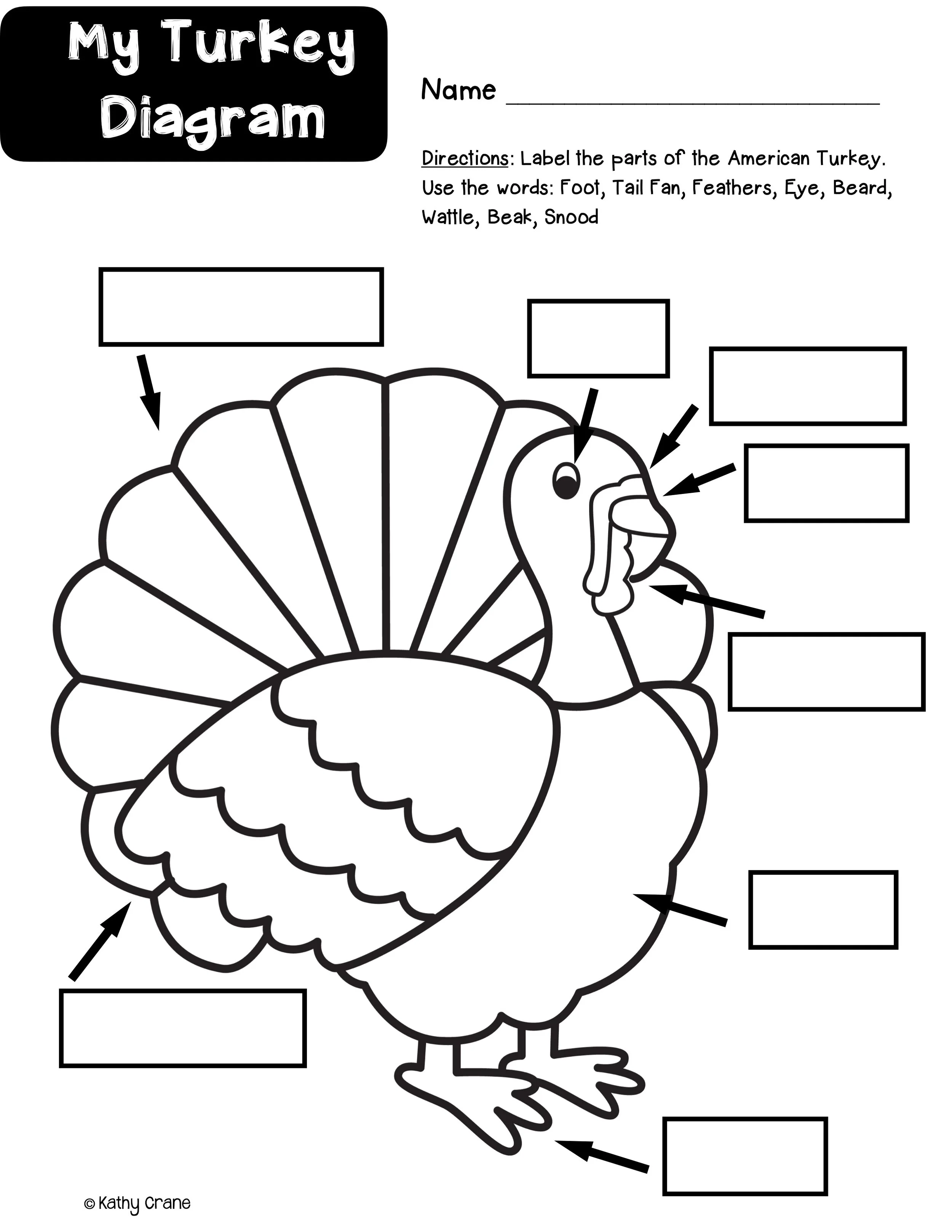 Turkey Fan Clip Art
