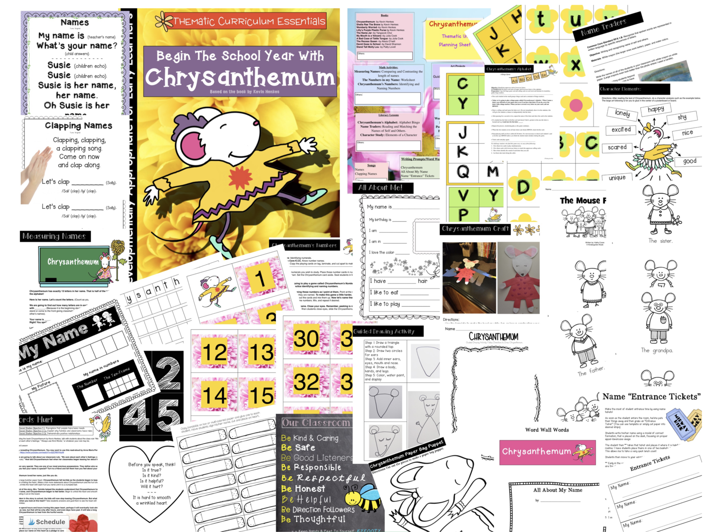 Chrysanthemum Character Worksheet
