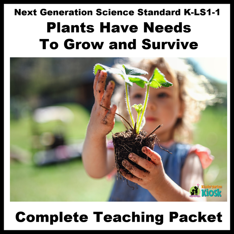 Plants Have Needs — Kindergarten Kiosk