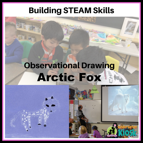 Build STEAM Skills Draw an Arctic Fox — Kindergarten Kiosk