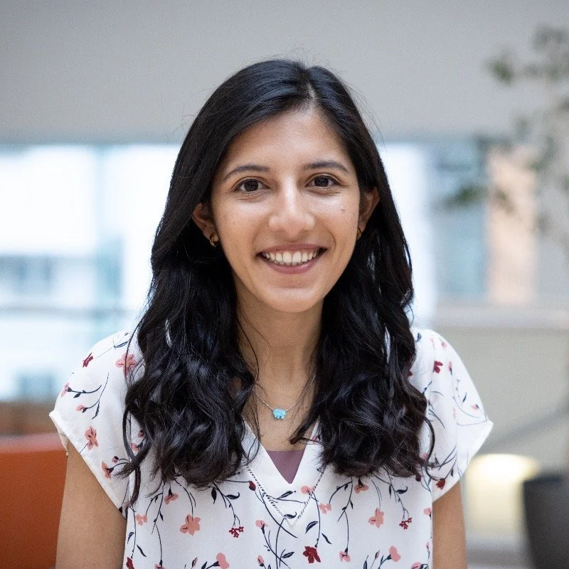 Boston — Synergist Network