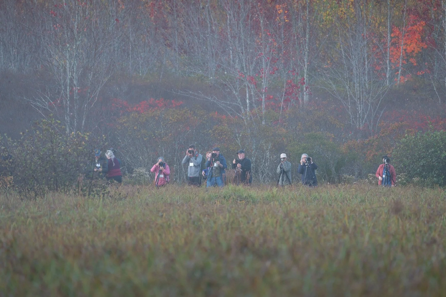 Workshops — Mark Denney | Landscape Photography