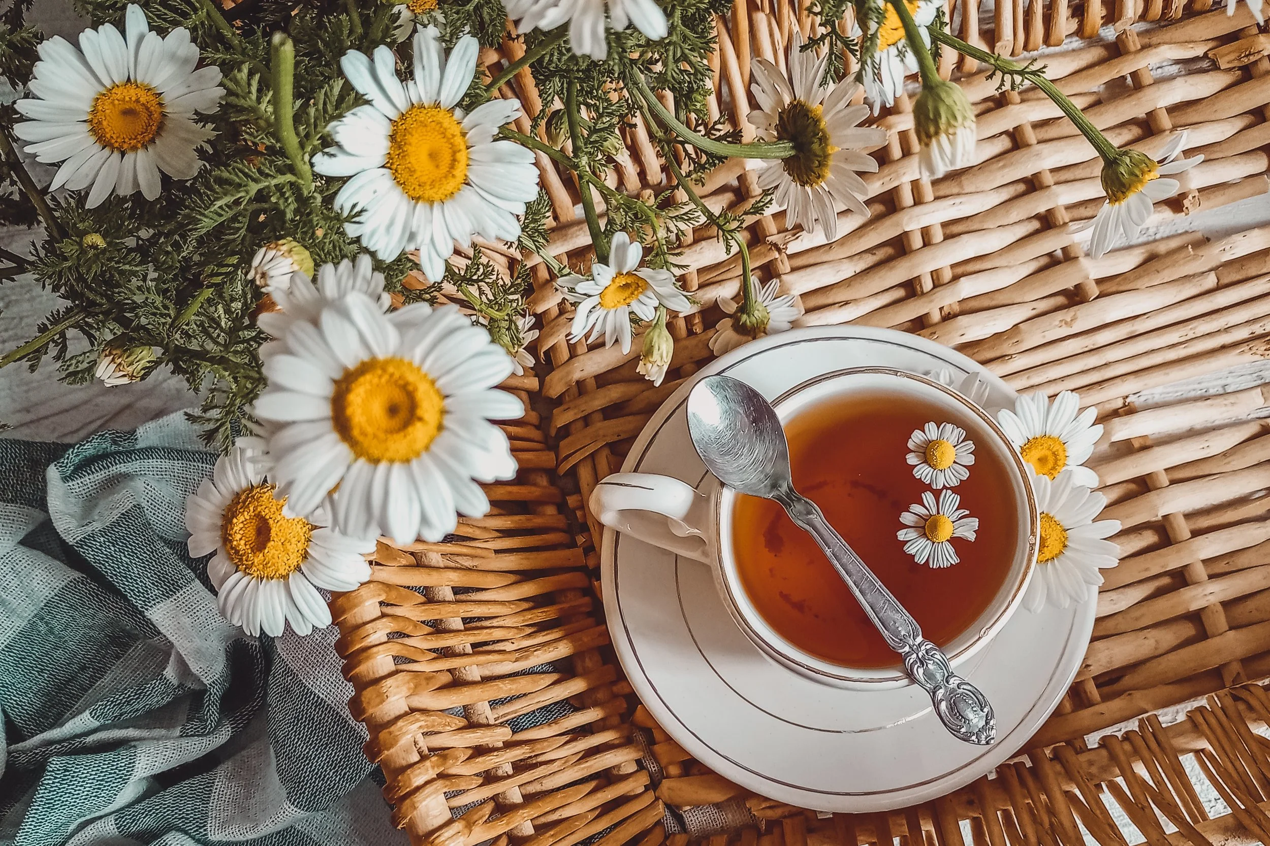 NATURAL MEDICINE HEALTHCARE BLOG BY DR. JANET YEH AND DR. KEVIN HUANG ...
