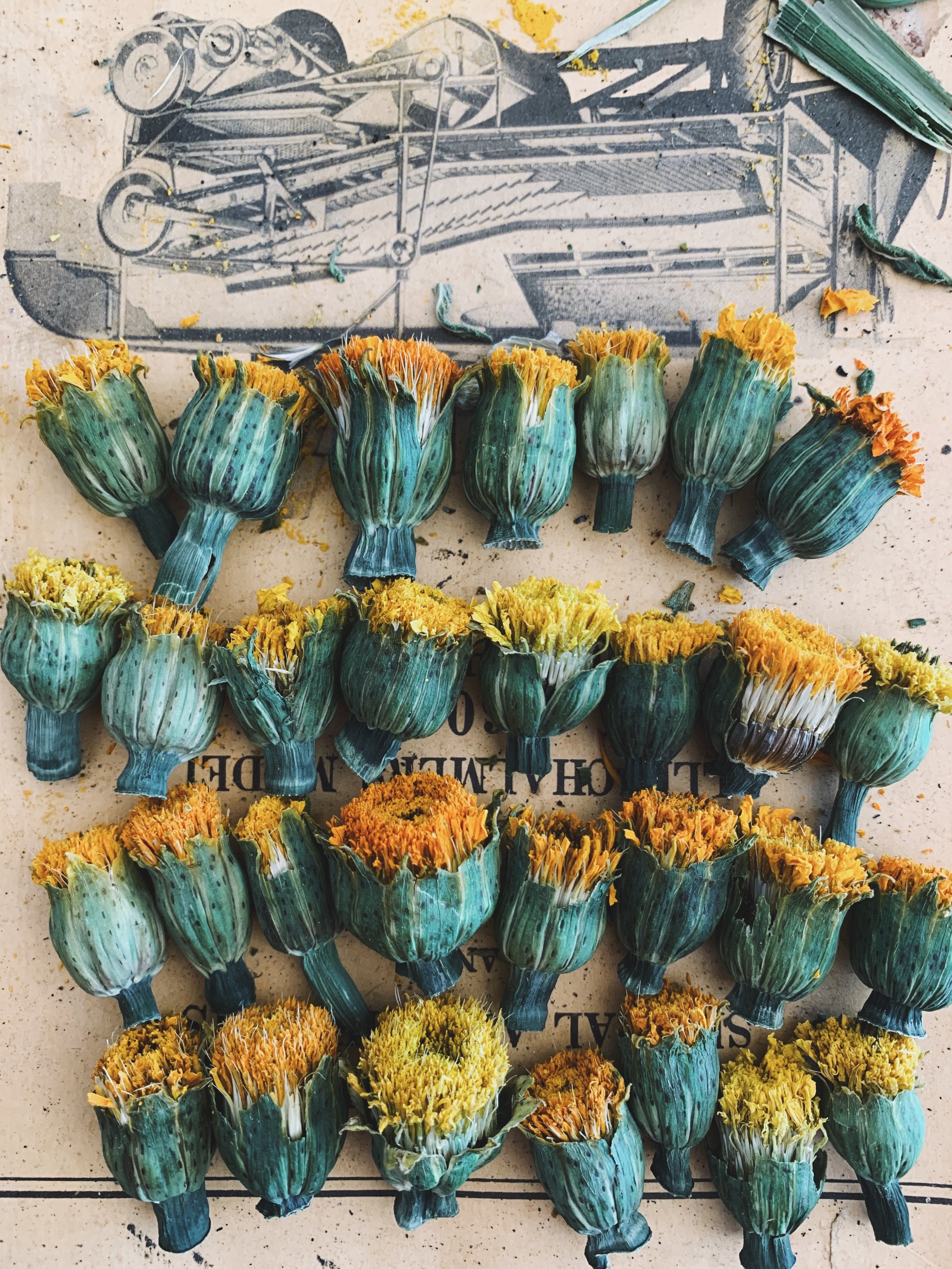 About — Farm & Folk