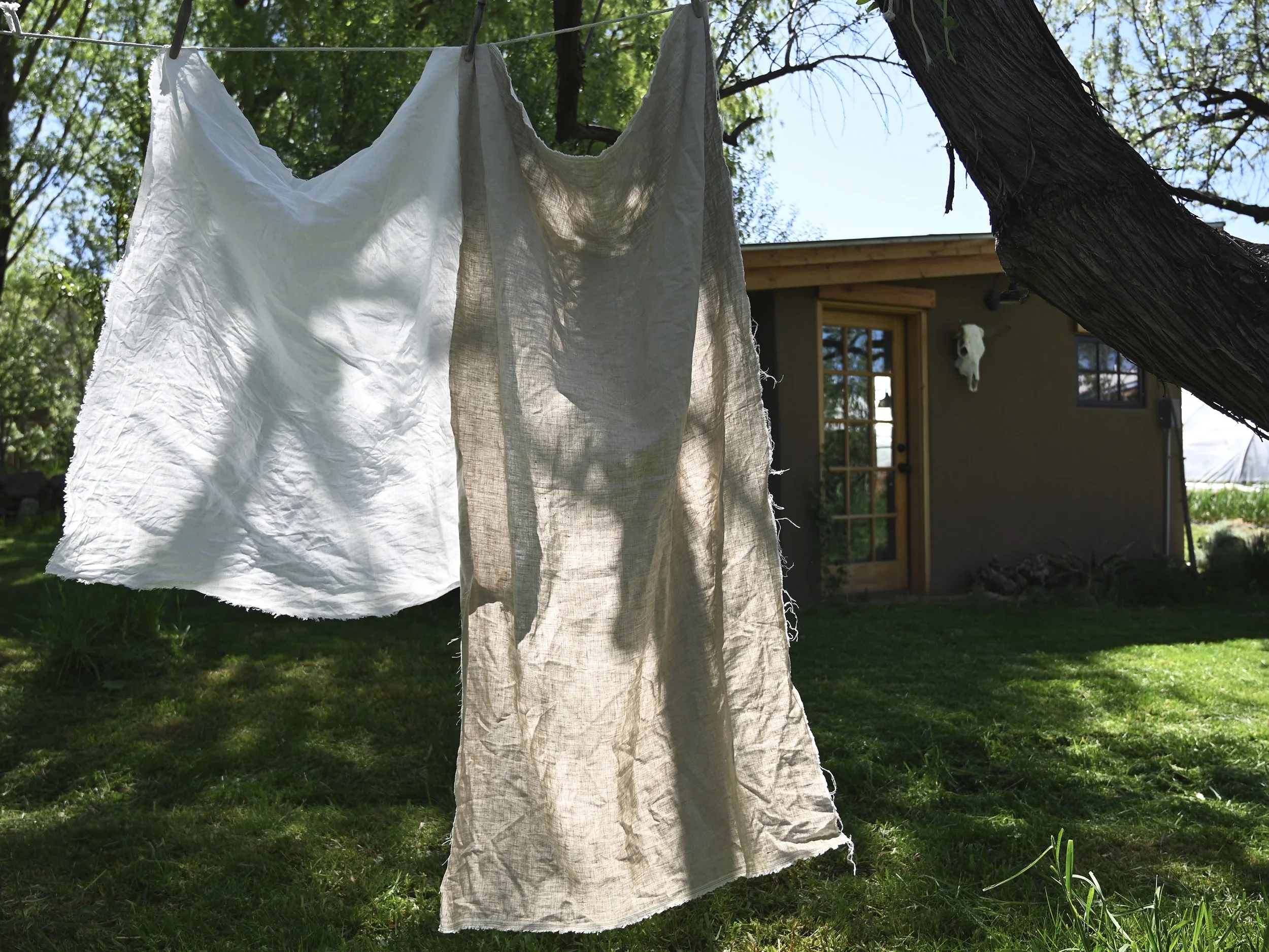 Natural Dyeing with Black Walnut Husks — Farm & Folk