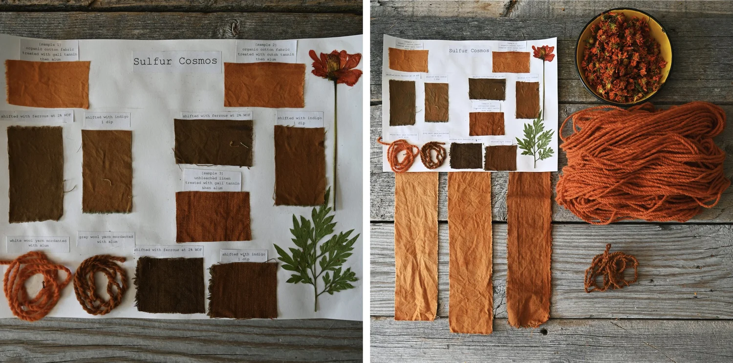 Natural Dyeing With Flowers — Farm & Folk