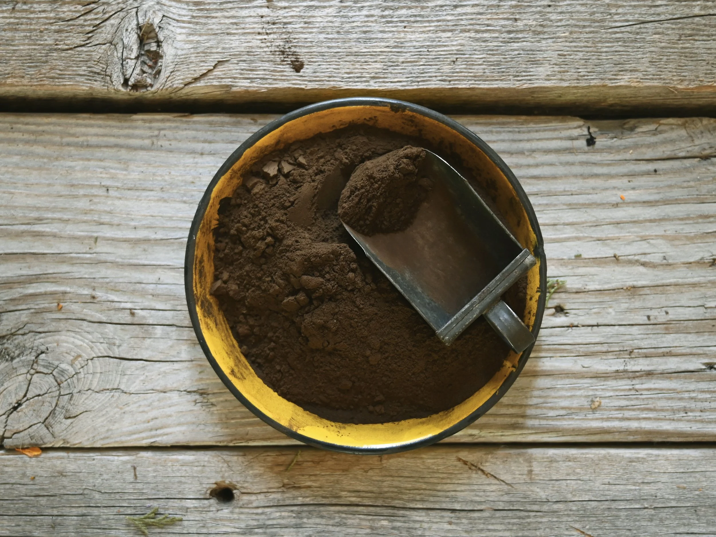 Natural Dyeing with Black Walnut Husks — Farm & Folk
