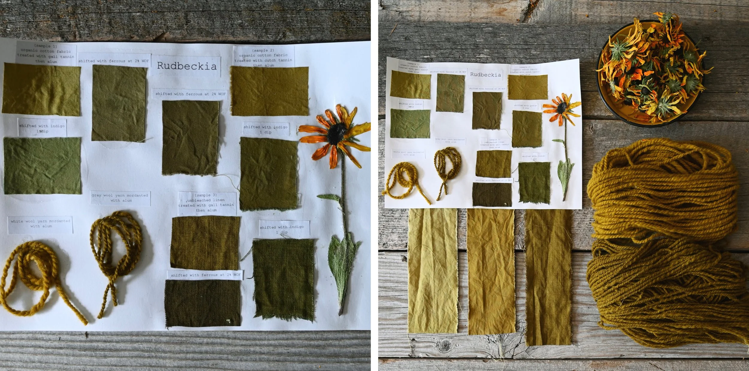 Natural Dyeing With Flowers — Farm & Folk