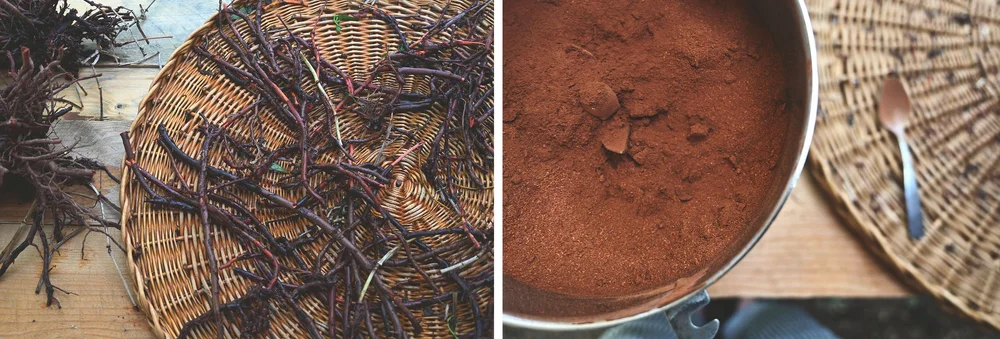 Natural Dye Cultivation Series: Madder root — Farm & Folk