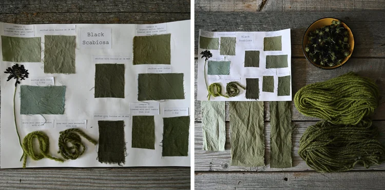 Natural Dyeing With Flowers — Farm & Folk