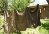 Natural Dyeing with Black Walnut Husks — Farm & Folk