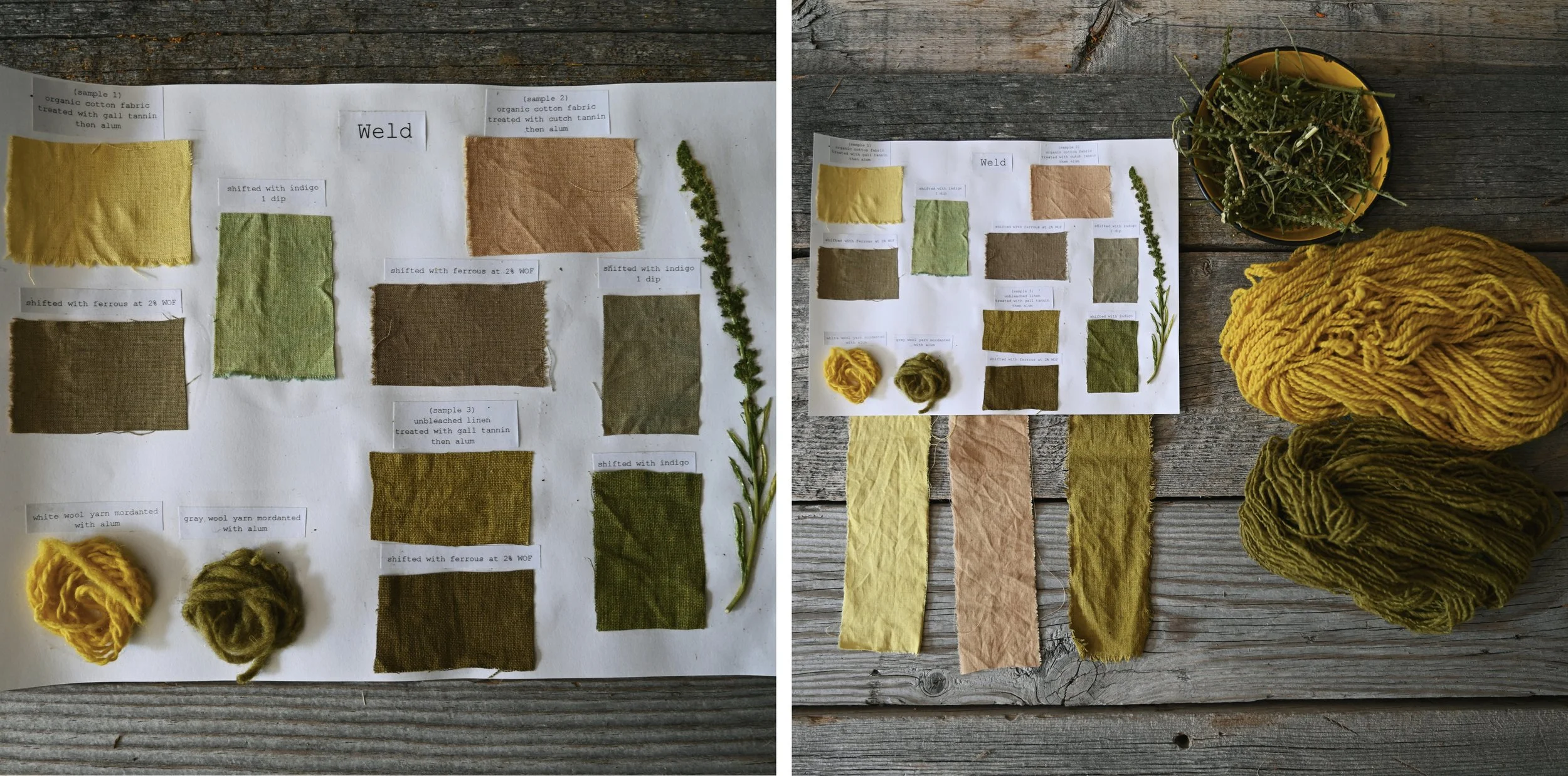 Natural Dyeing With Flowers — Farm & Folk