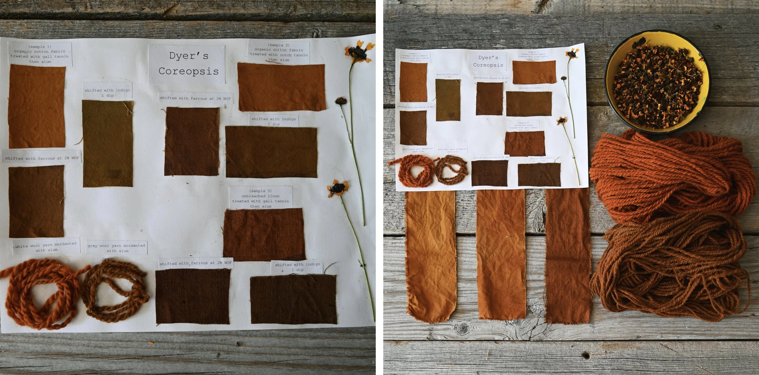 Natural Dyeing With Flowers — Farm & Folk