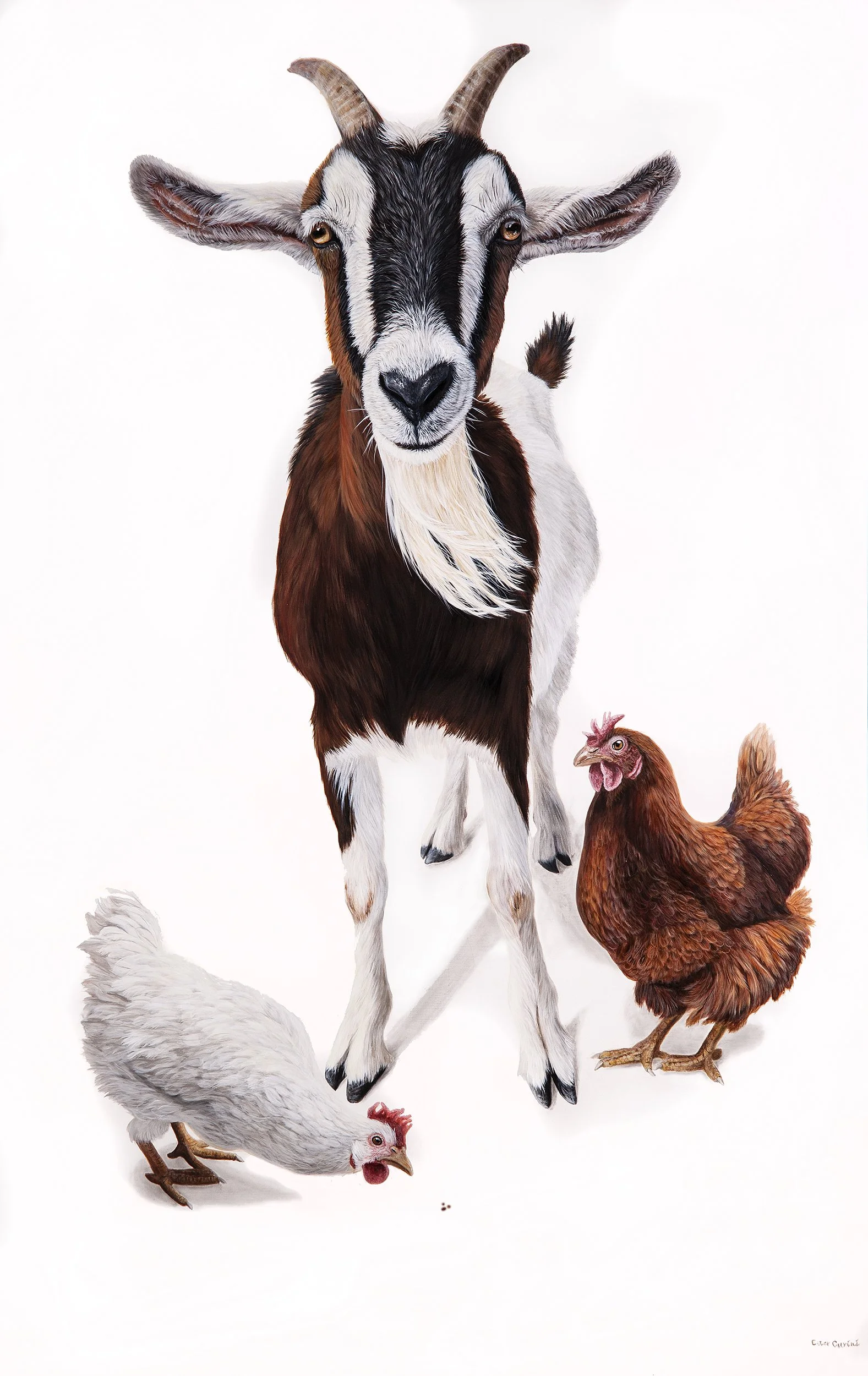 ANTHONY BRUNELLI FINE ARTS —ESTER CURINI