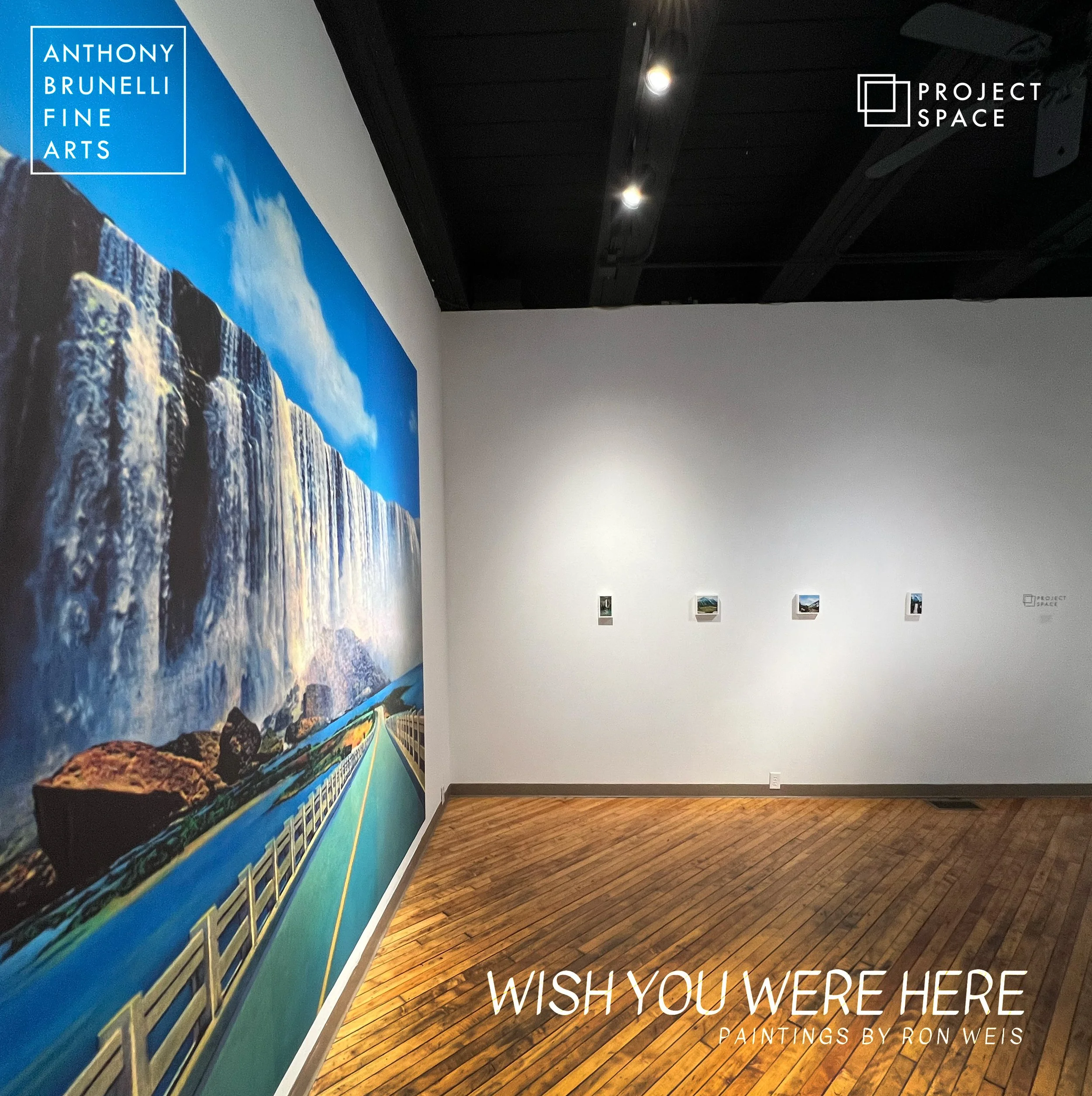 ANTHONY BRUNELLI FINE ARTS —THE PROJECT SPACE