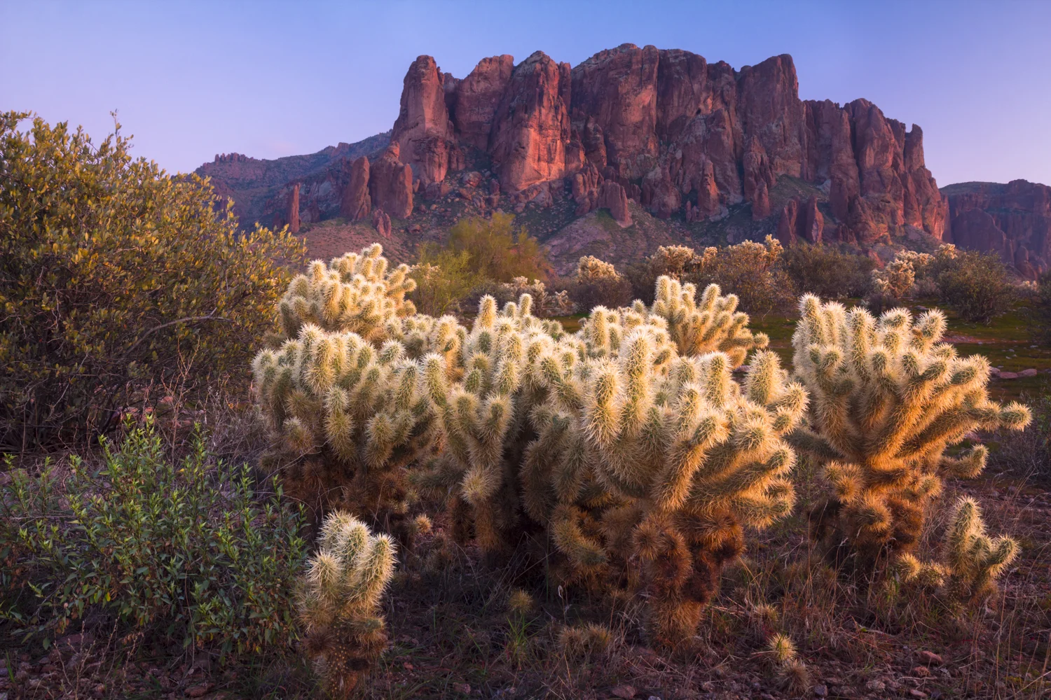 Guide to Arizona's Best Parks, Trails, and Wilderness Areas — Lucas ...