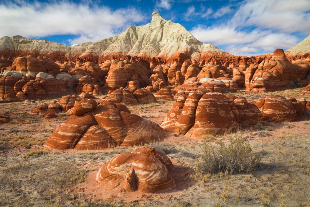Guide to Arizona's Best Parks, Trails, and Wilderness Areas — Lucas ...