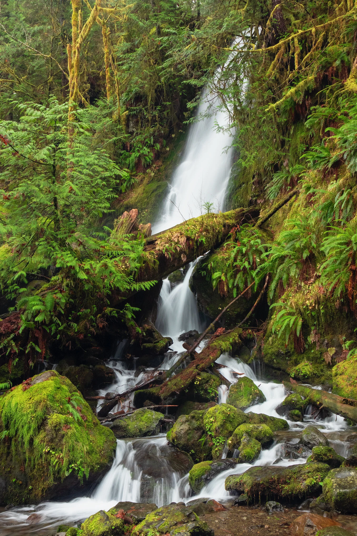 Washington State Waterfalls Guide — Lucas Cometto | Wilderness ...