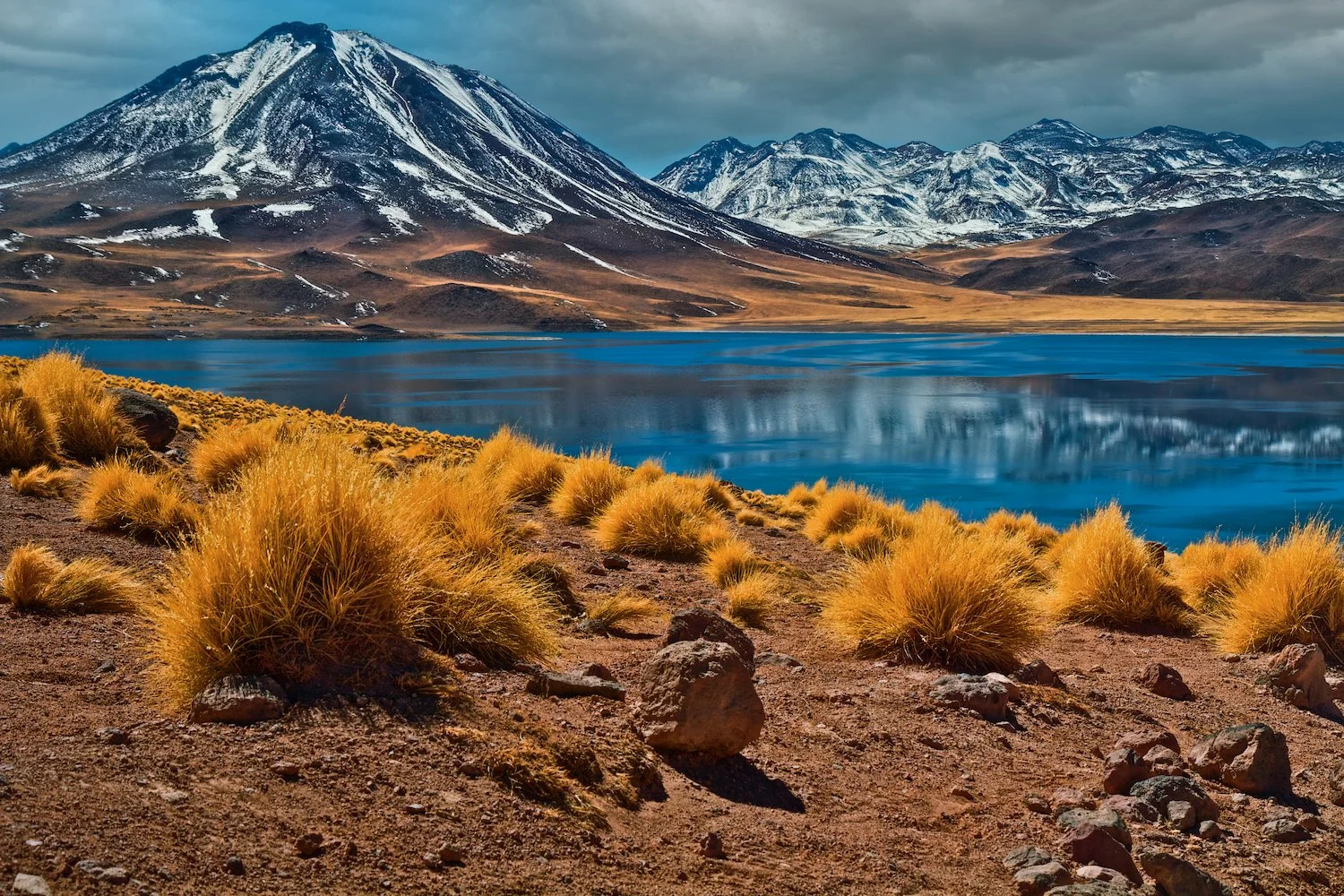 Guide to Bolivia's Altiplano and Chile's Atacama Desert. — Lucas ...