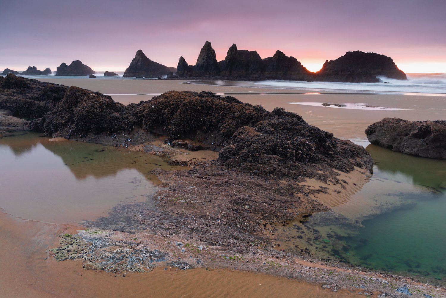 Photography Guide to Pacific Northwest Coast and Beaches — Lucas ...