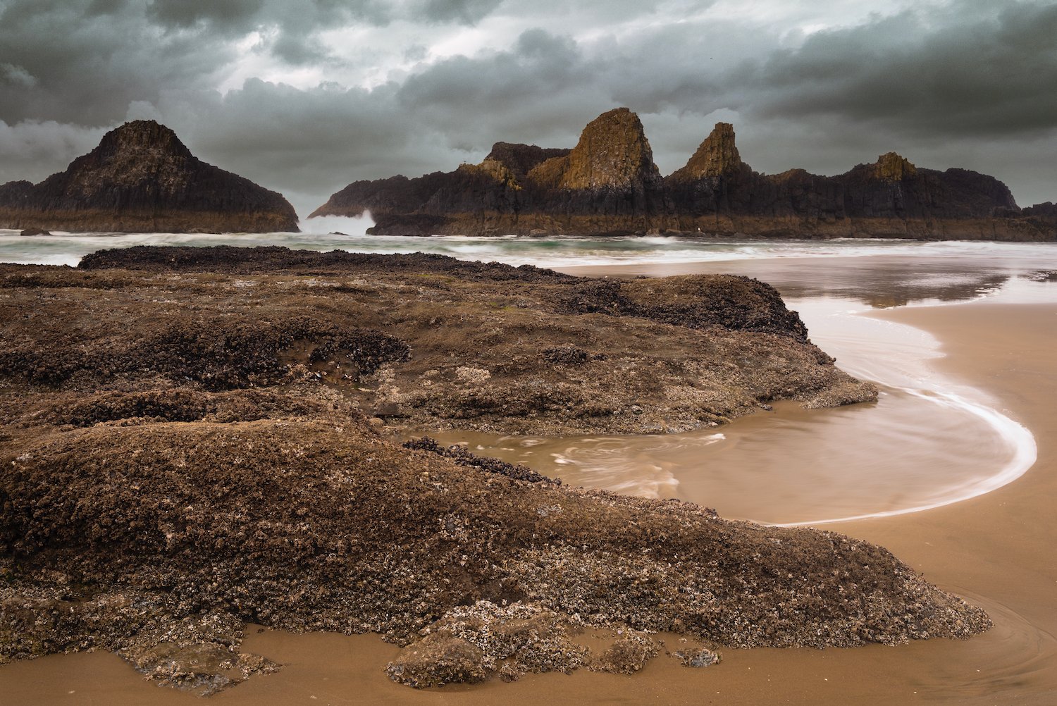 Photography Guide to Pacific Northwest Coast and Beaches — Lucas ...