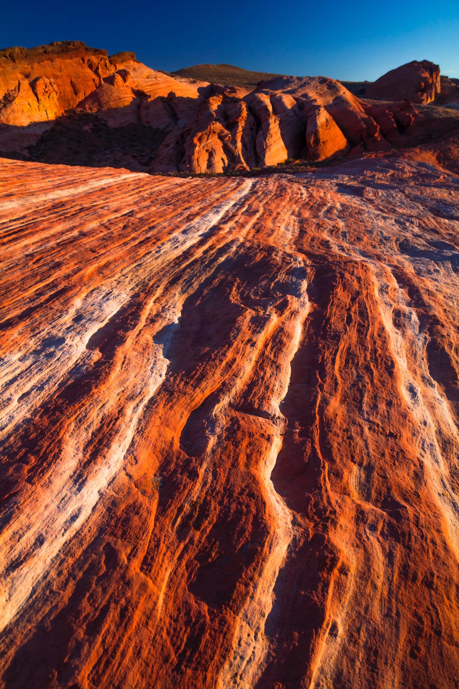 Guide to Nevada's Best Parks, Trails, and Wilderness Areas — Lucas ...