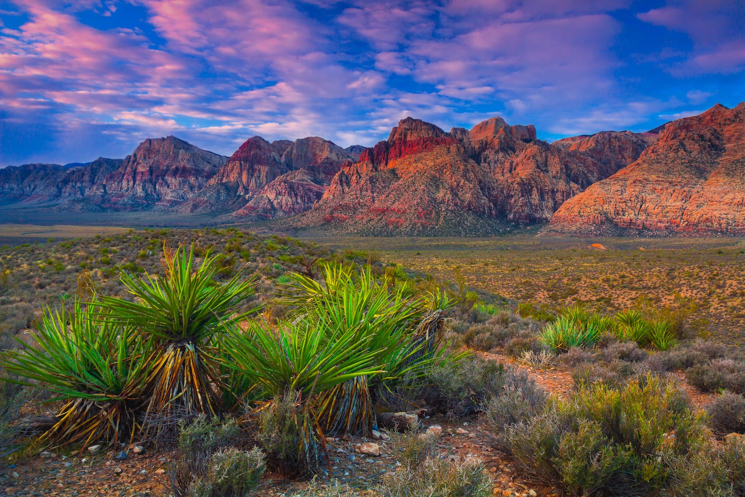 Guide to Nevada's Best Parks, Trails, and Wilderness Areas — Lucas ...